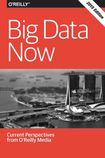 Big Data Now