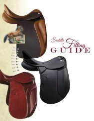 Viva Iberica's 2015 Short Backed Horses