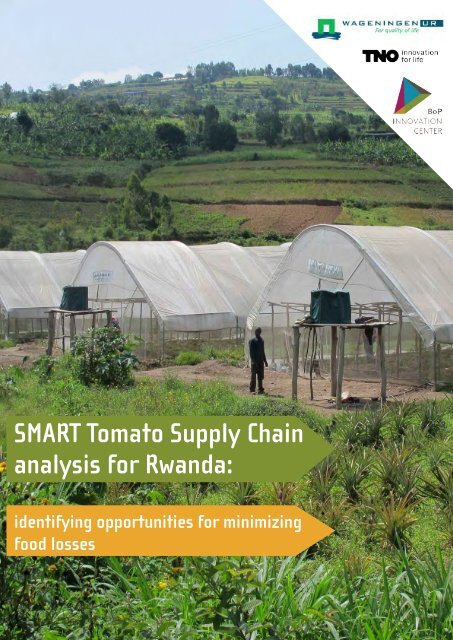 SMART Tomato Supply Chain analysis for Rwanda