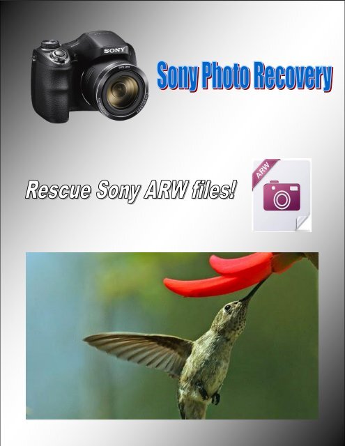 Sony Photo Recovery - Rescue Sony ARW files!