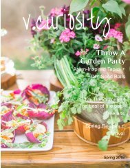 v.curiosity | Issue 1