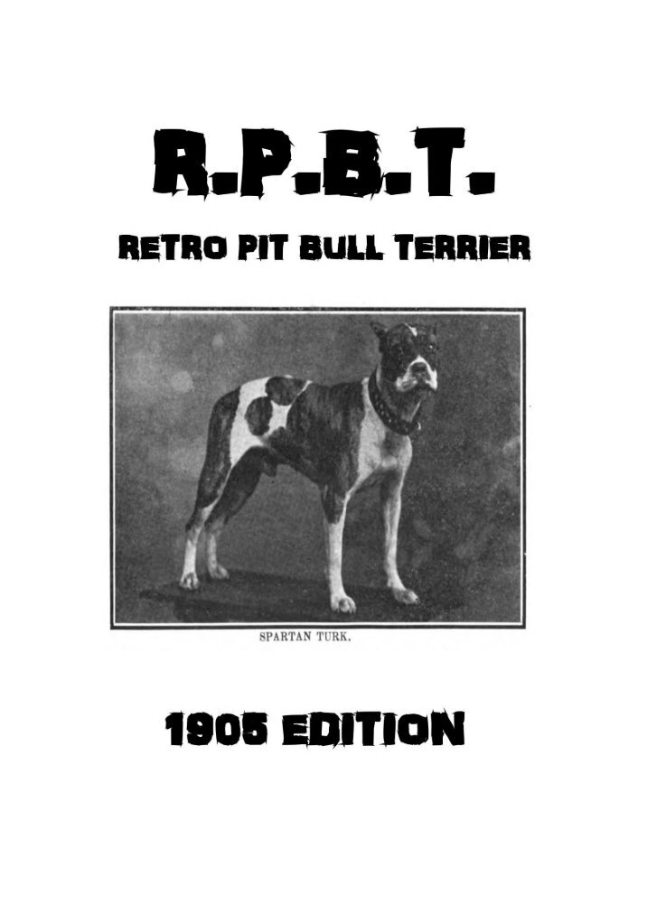 Bull-Terrier Magazines