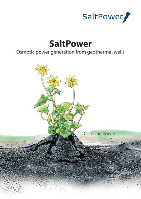 SaltPower brochure