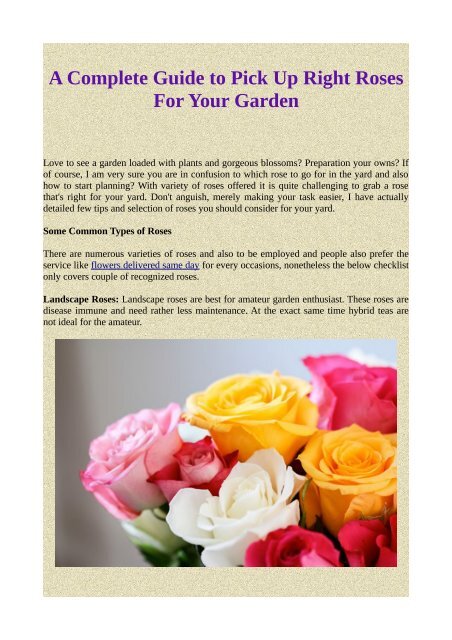 A Complete Guide to Pick Up Right Roses For Your Garden