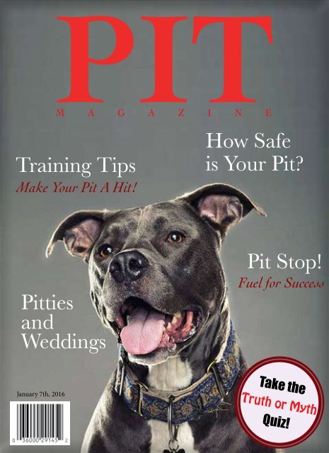 PitMagazine