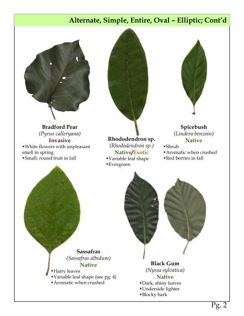 Alternate, Simple, Entire