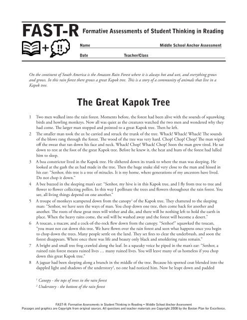 The Great Kapok Tree Activities