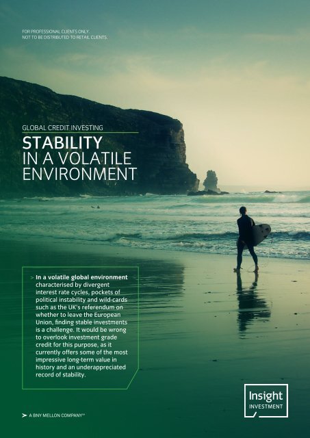 STABILITY IN A VOLATILE ENVIRONMENT