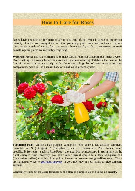 How to Care for Roses