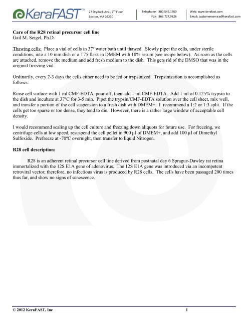 Care of the R28 retinal precursor cell line Gail M. Seigel ... - KeraFAST