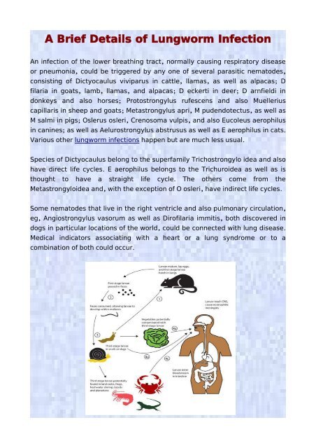 A Brief Details of Lungworm Infection