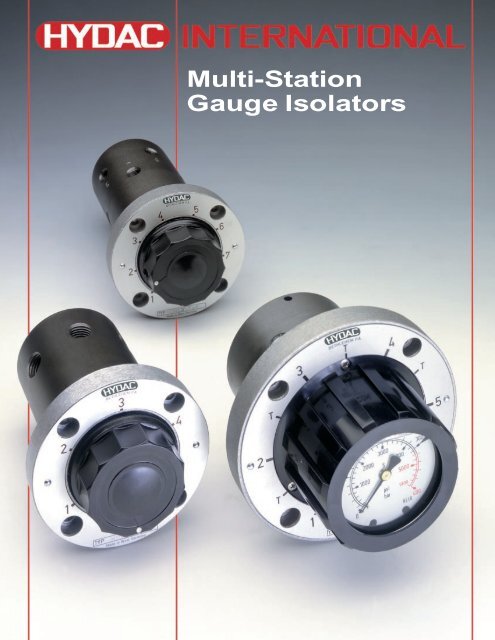 Multi-Station Gauge Isolators - Airline Hydraulics