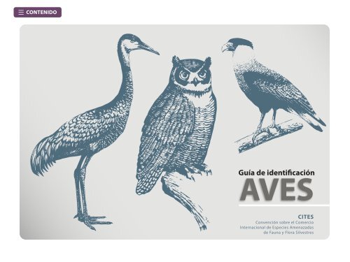 AVES