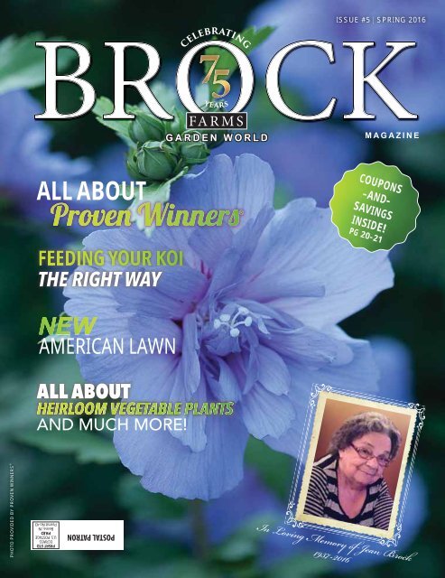 BROCK