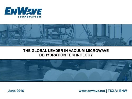 THE GLOBAL LEADER IN VACUUM-MICROWAVE DEHYDRATION TECHNOLOGY