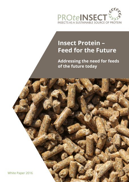 Insect Protein – Feed for the Future