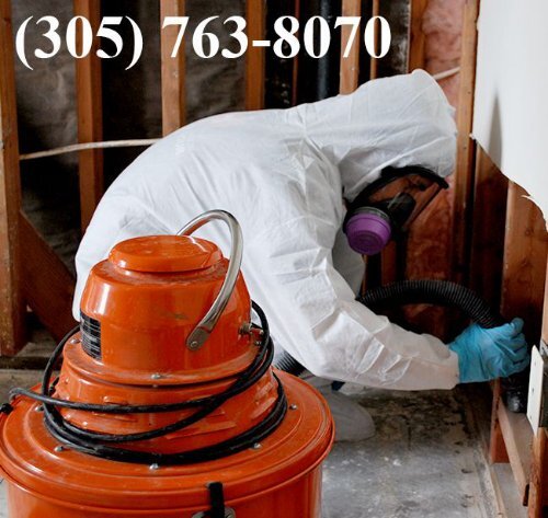 Mold Inspection North Miami Beach