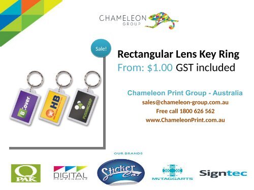 Rectangular Lens Key Ring - Chameleon Print Group