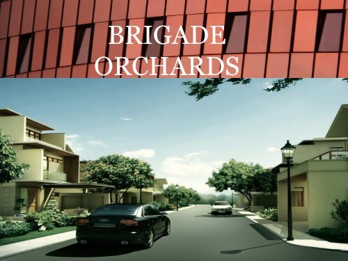 BRIGADEORCHARDS