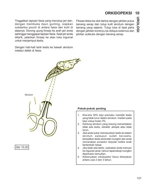 ORKIDOPEKSI 10 Tinggalkan