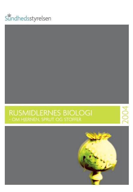 Rusmidler