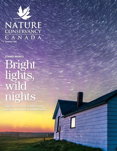 NCC Magazine summer 2016 English