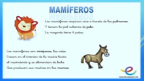 UNIDAD DIDÁCTICA LOS ANIMALES