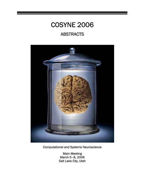 COSYNE 2006
