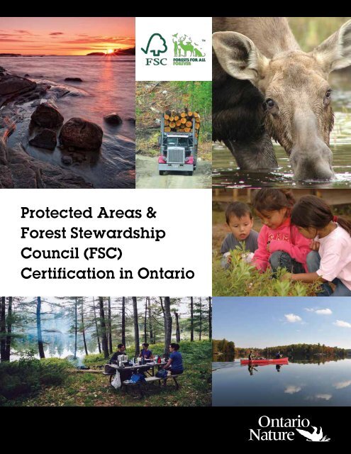 Protected Areas & Forest Stewardship Council (FSC) Certification in Ontario