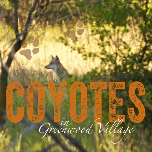 Coyote Brochure
