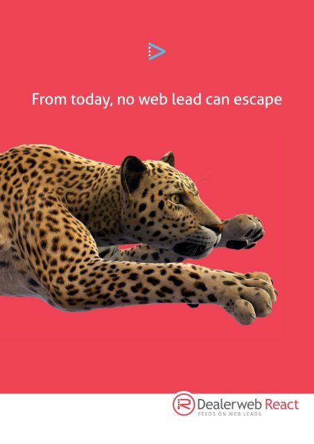 Dealerweb React Brochure