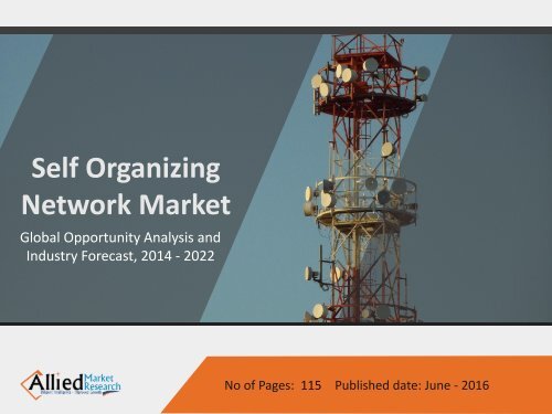 Self Organizing Network Market