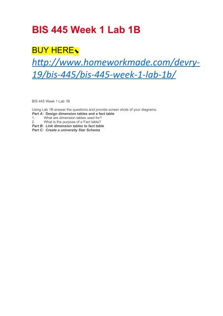 BIS 445 Week 1 Lab 1B