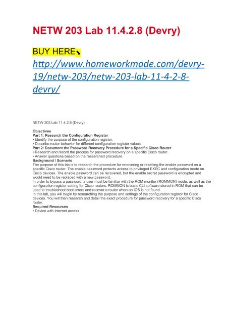 NETW 203 Lab 11.4.2.8 (Devry)