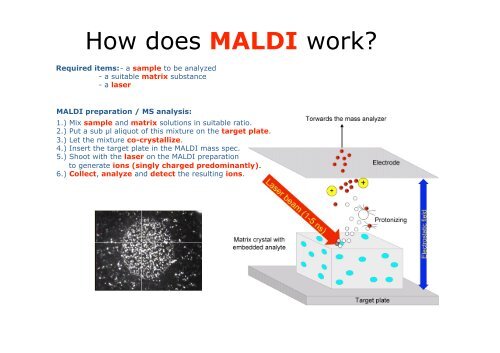 How does MALDI