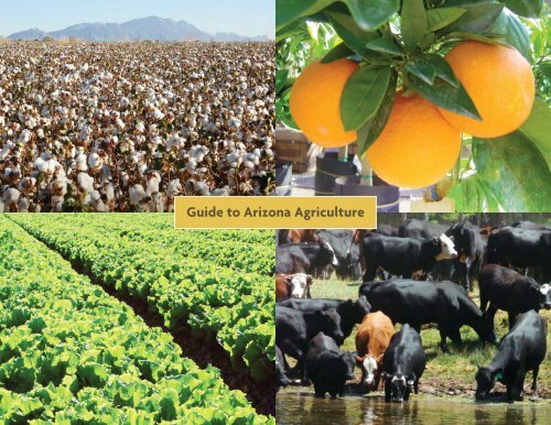 Guide to Arizona Agriculture