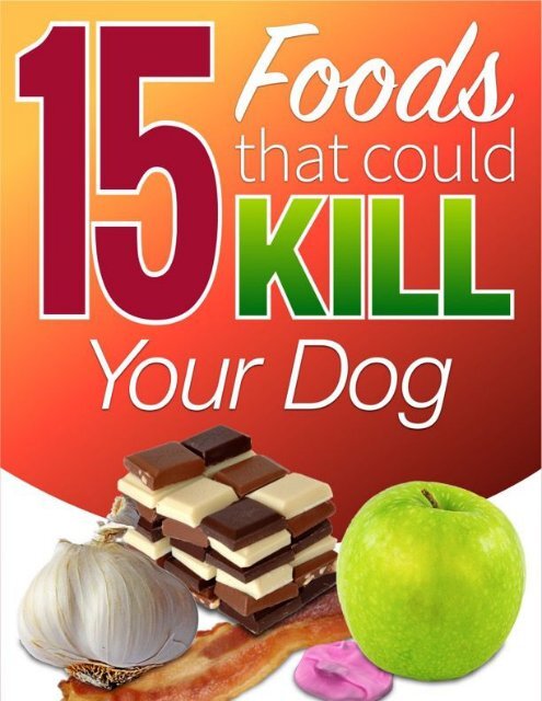 What Foods Will Kill Your Dog