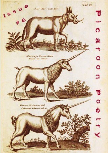 Picaroon Poetry - Issue #6 - January 2017