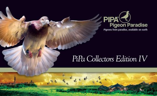 Pipa Collectors Edition IV English
