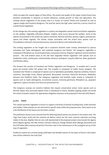 Scoping Report for the pr