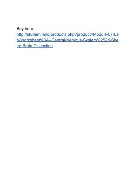 Module 07 Lab Worksheet: Central Nervous System- Sheep Brain Dissection