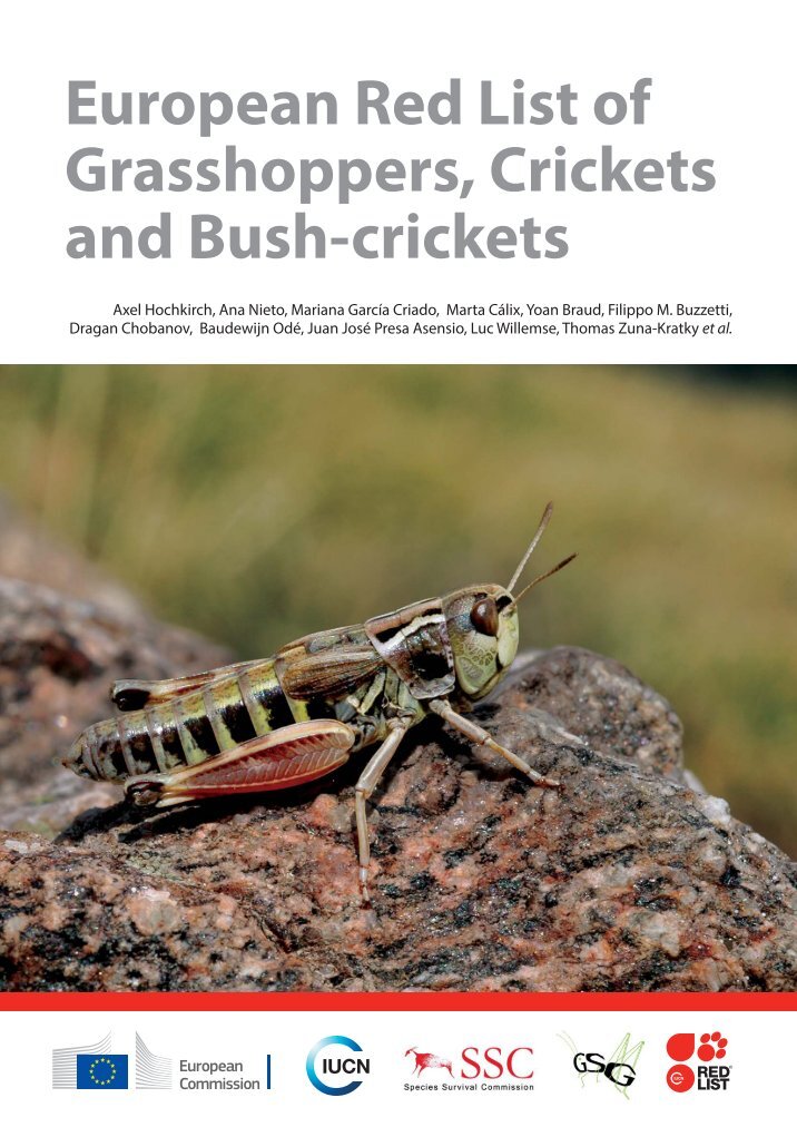 Crickets Magazines