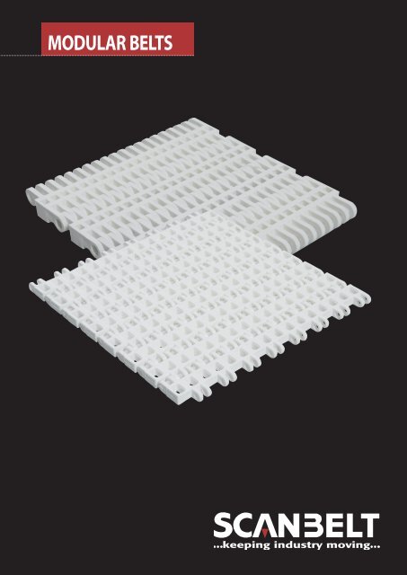 ScanBelt_brochure_2016