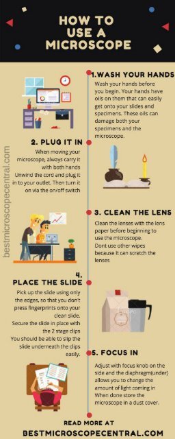 How to use a microscope step by step - Infographic