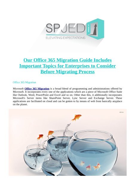 Migration Process Office 365 Migration in USA