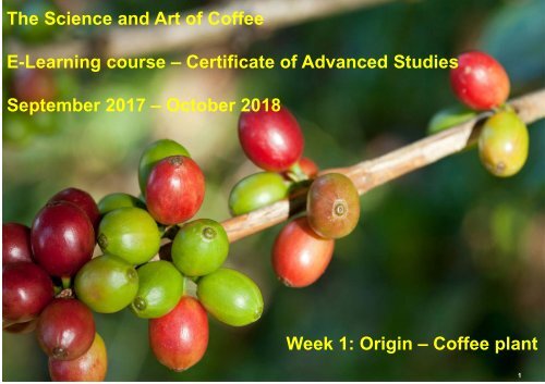 Legend, origin and classification of the coffee plant