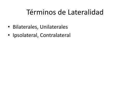 Términos de Lateralidad