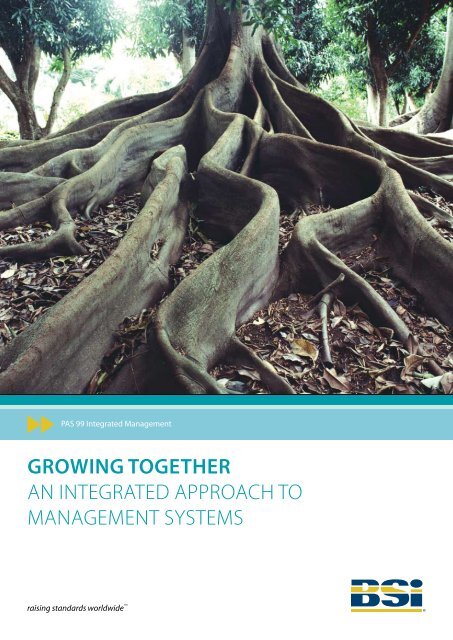 pas 99 integrated management system training courses - BSI