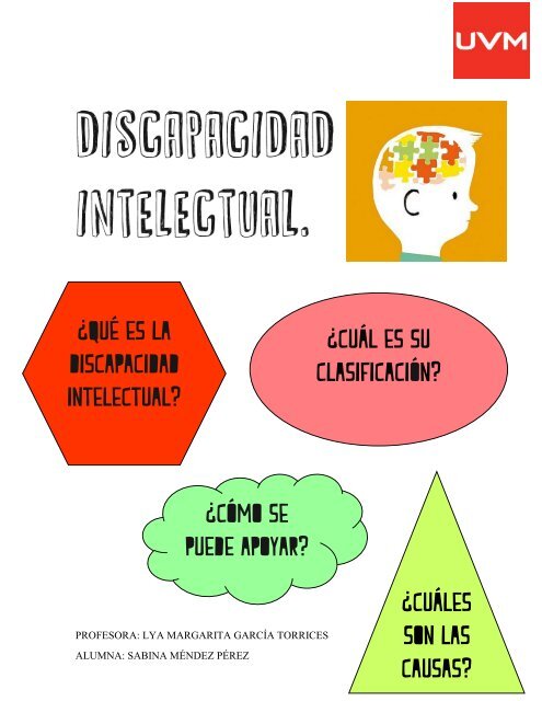 DISCAPACIDAD INTELECTUAL