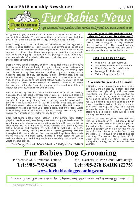 Fur Babies News - Fur Babies Dog Grooming